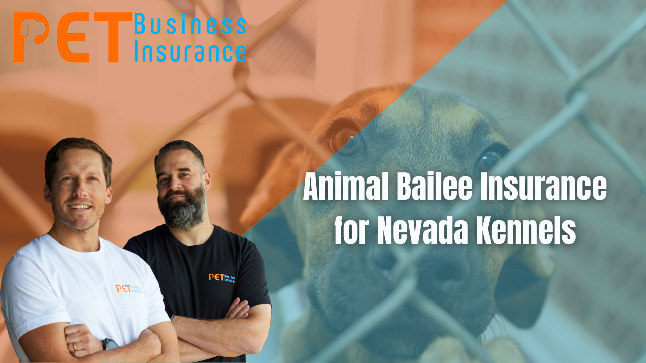 Animal Bailee Insurance for Nevada Kennels | Pet Business Insurance